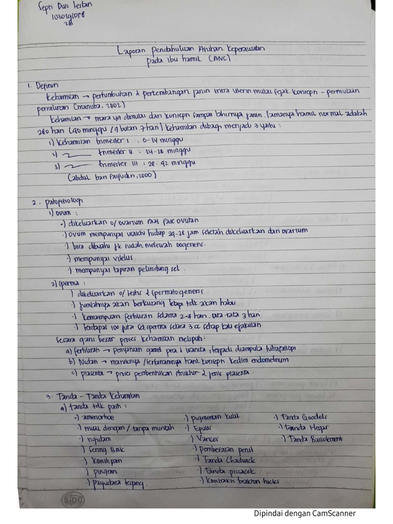 LP - ANC IBU HAMIL (Septi Dwi Lestari) | PDF