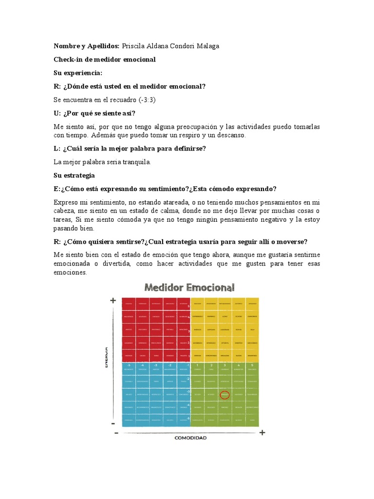Check in de Medidor Emocional | PDF