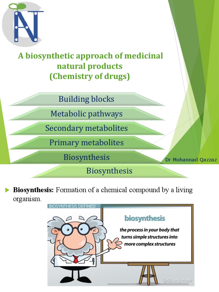A Biosynthetic Approach of Medicinal Natural Products (Chemistry of ...