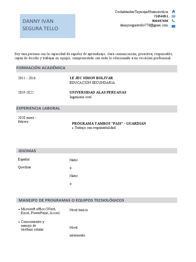 CV de Danny Segura Tello - Ingeniería Civil | PDF