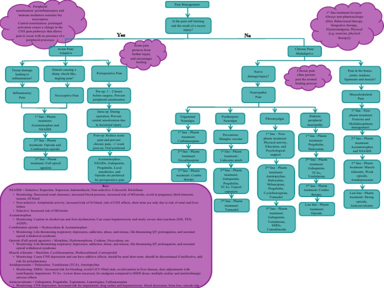 Pain Management Algorithm | PDF | Pain | Pain Management