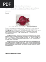 Beetroot Membrane Permeability Experiment | PDF | Cell Membrane ...