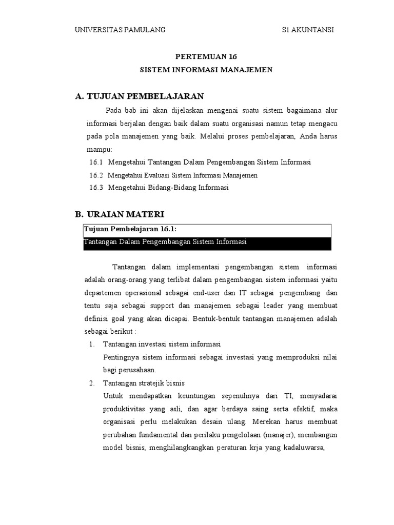 Pert 16 Sistem Informasi Manajemen 2 | PDF
