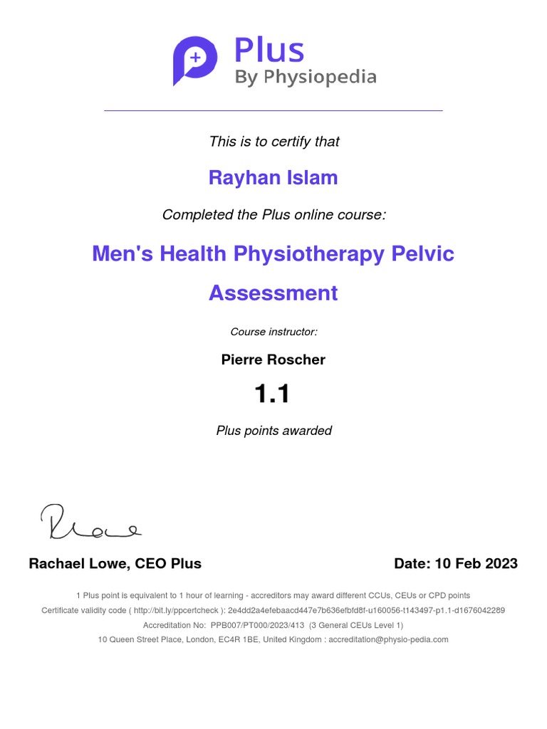Men's Health Physiotherapy Pelvic Assessment - Rayhan Islam | PDF ...