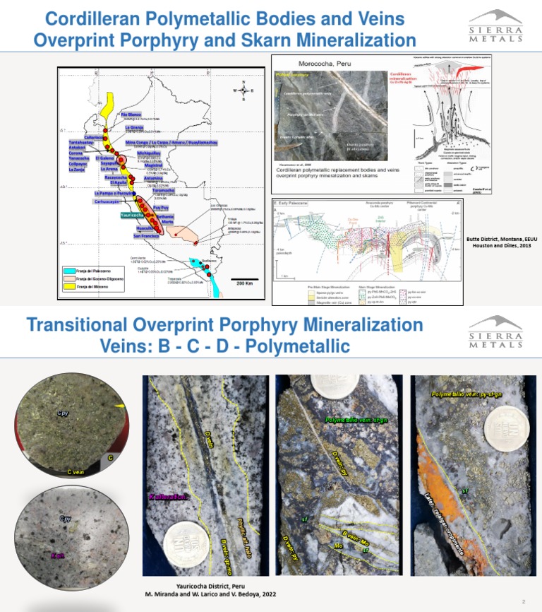 Cordilleran Polymetallic Bodies and Veins | PDF