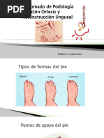 Anatomia Del Pie | PDF | Pie | Morfología (biología)