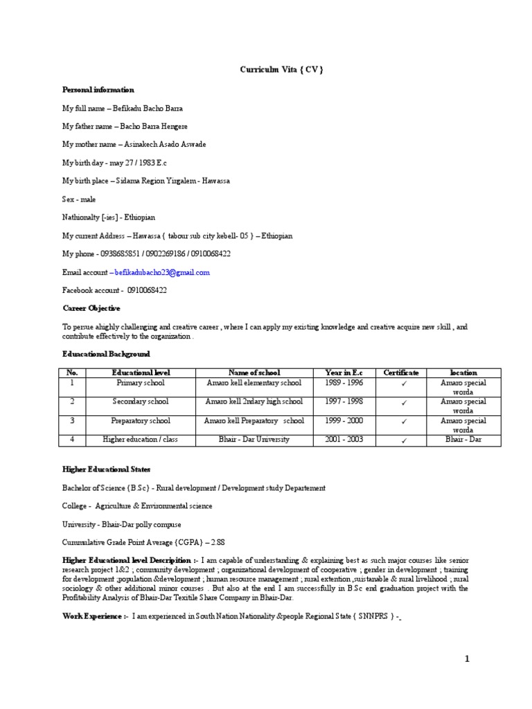 Curriculm Vita (CV) | PDF
