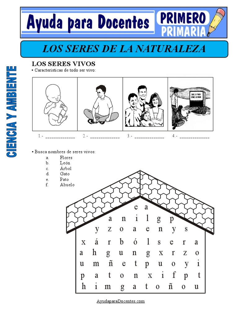 Los Seres de La Naturaleza para Primero de Primaria | PDF