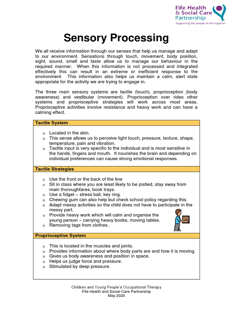 Sensory Processing Strategies for Kids | PDF | Somatosensory System ...