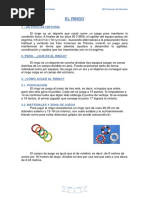 Reglas y Objetivo del Ringo Sport | PDF | Deportes