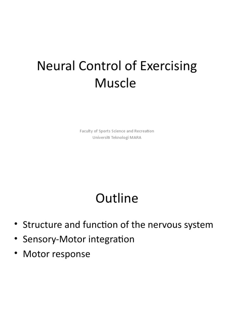 7.neural Control of Exercising Muscle | PDF | Chemical Synapse | Neuron