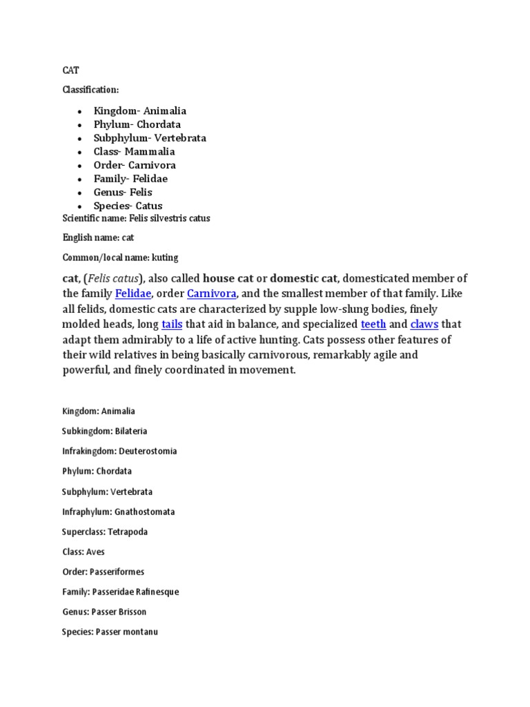 Kingdom-Animalia Phylum - Chordata Subphylum - Vertebrata Class ...