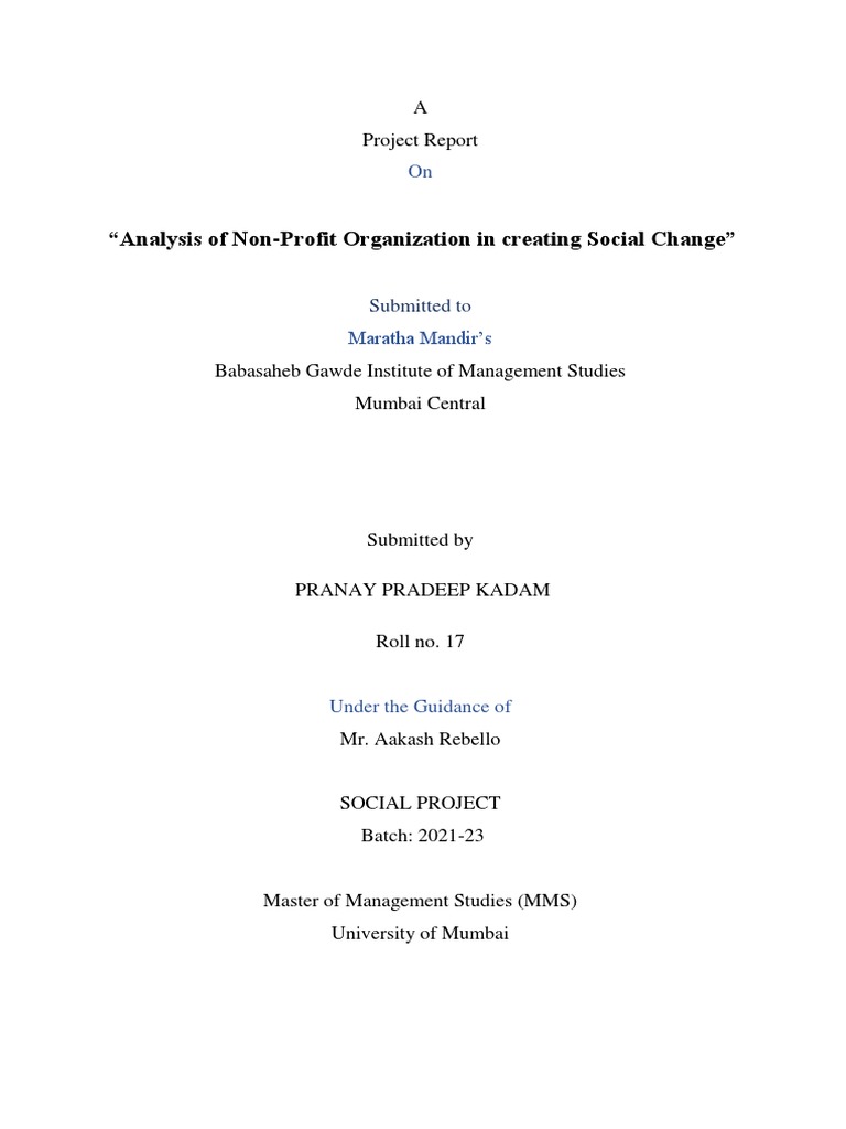 Social Project MMs | PDF