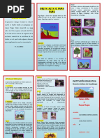 Triptico de Pasco | PDF | Alimentos | Naturaleza