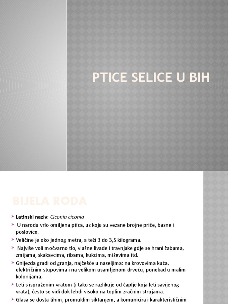PTICE SELICE U BiH | PDF