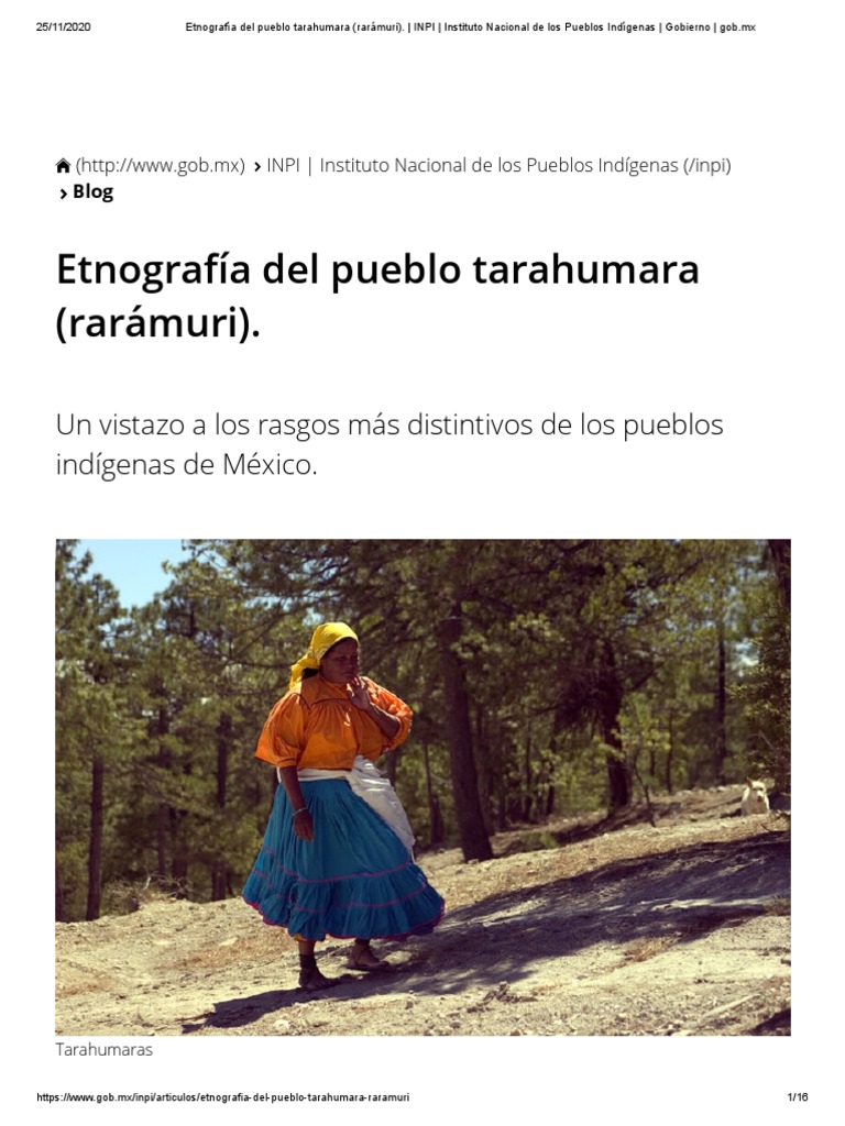 Etnografía Del Pueblo Tarahumara (Rarámuri) .: Un Vistazo A Los Rasgos ...