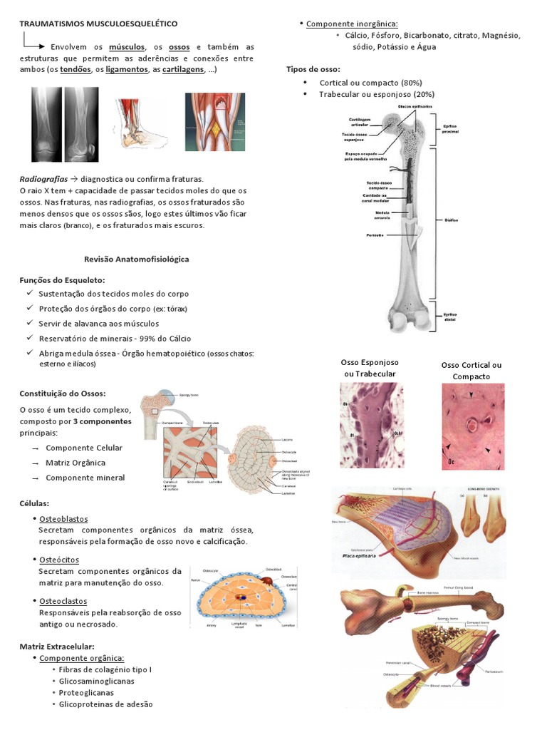 Fraturas | PDF | Osso | Medicina Clínica