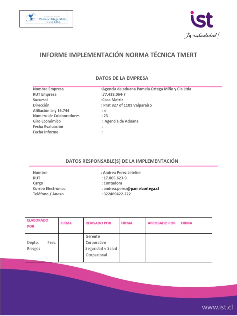 A. Formato Informe Empresas TMERT-EESS | PDF