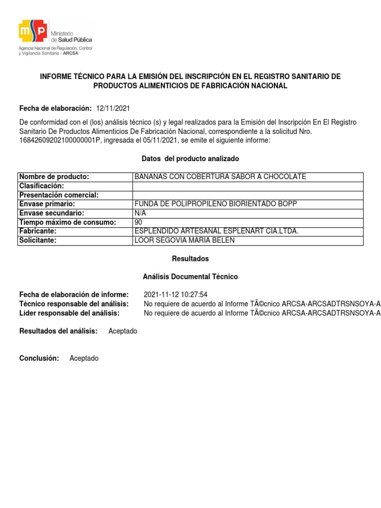 Informe Tecnico | PDF