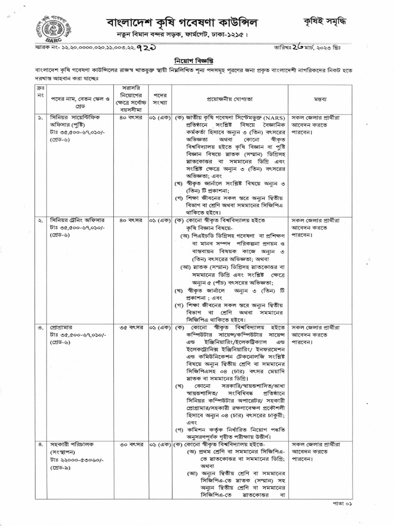 Document Optimization for SEO | PDF