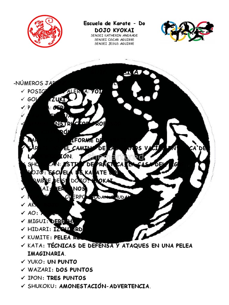 Guía Básica 8 KYU | PDF