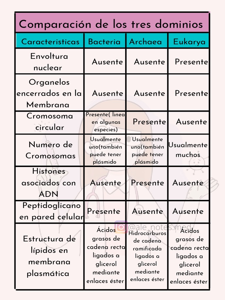 Comparación de Los Tres Dominios | PDF