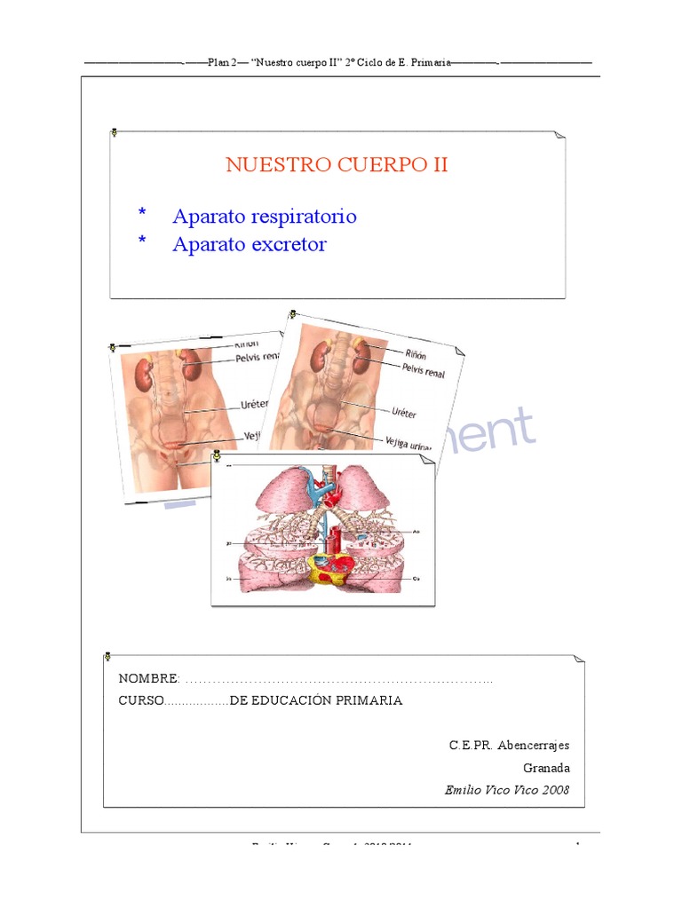 Aparato Excretor Nuevo | PDF | Respiración | Pulmón