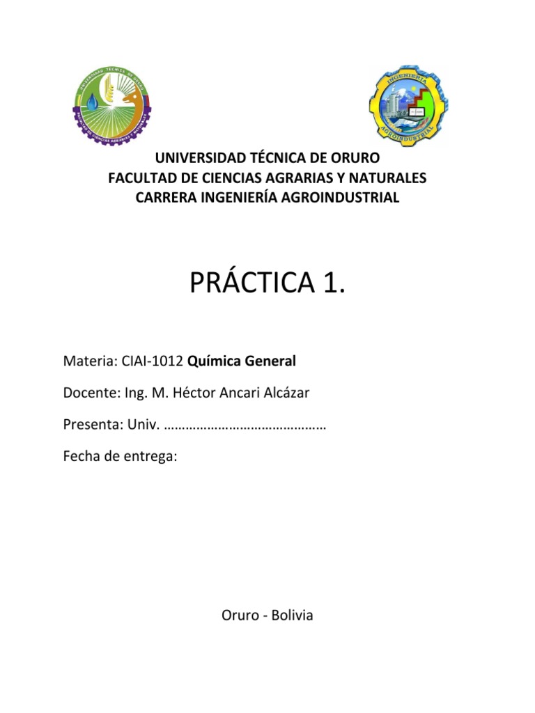 Formato-de-presentacion-de-practicas | PDF