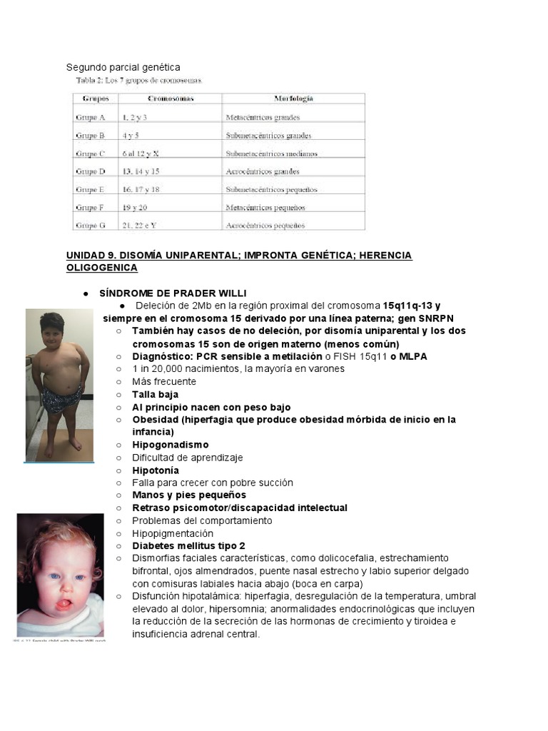 Genética 2do Parcial Repaso | PDF | Glucógeno | El embarazo