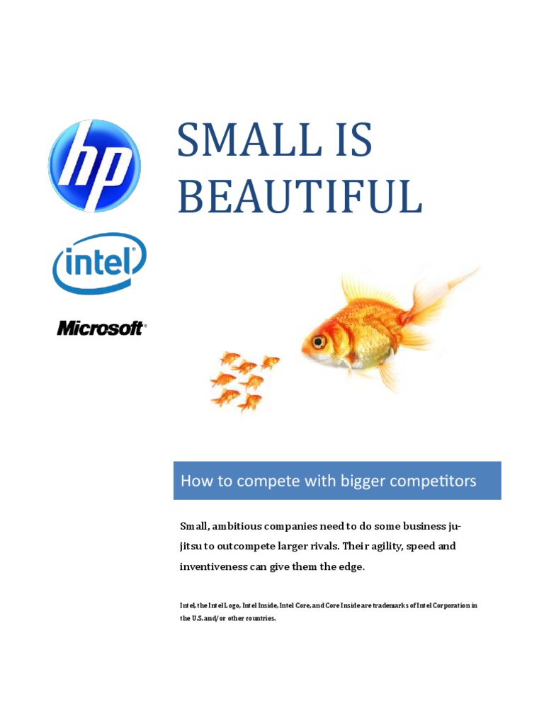 Small Is Beautiful | PDF | Intel | Brand