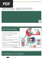 Quimo e Quilo | PDF | Digestão | Estômago