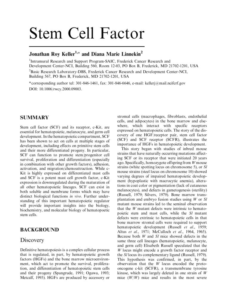 Stem Cell Factor | PDF | Hematopoietic Stem Cell | Haematopoiesis