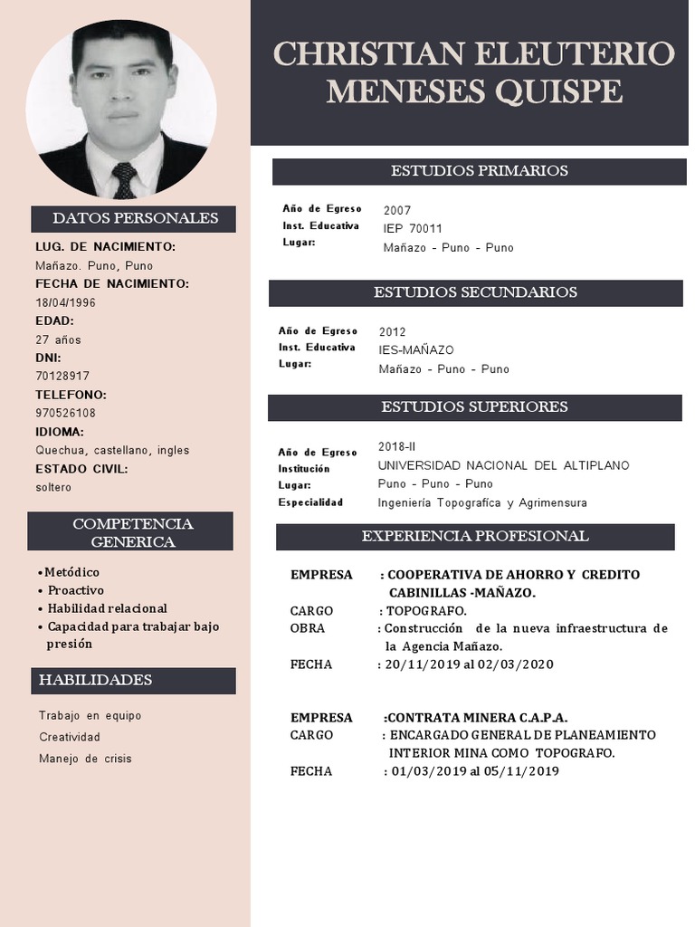 CV - Christian Meneses | PDF | Informática