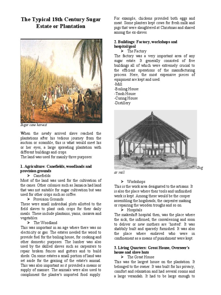 The Typical 18th Century Sugar Estate or Plantation | PDF | Sugarcane ...