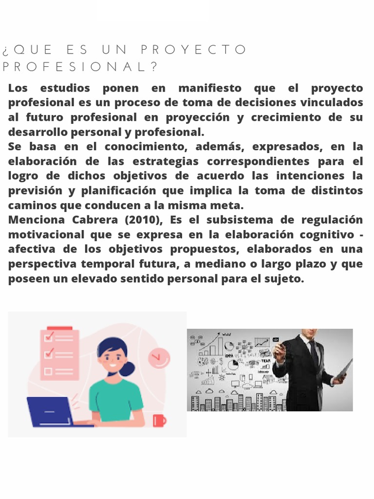 Qué es y cómo desarrollar un proyecto profesional | PDF