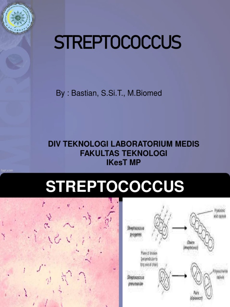 Streptococcus | PDF