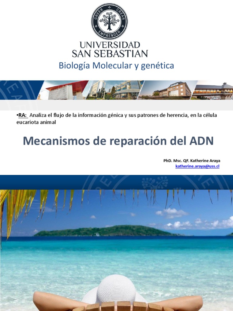 Mecanismos de Reparación Del ADN: Biología Molecular y Genética | PDF | Mutación | Gene