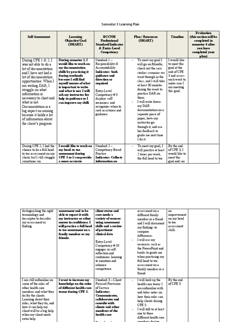 Semester 3 Learning Plan | PDF | Confidentiality | Cognition