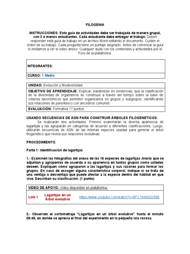 Actividad Filogenia | PDF | Evolución | Filogenética