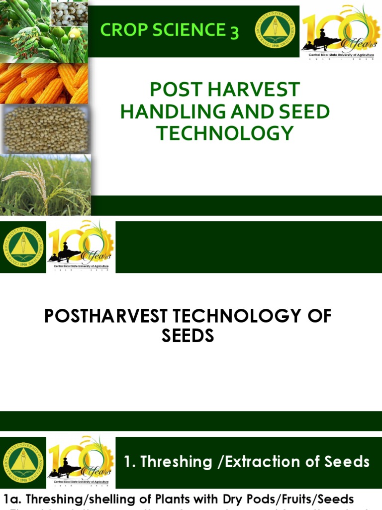 Seed Processing and Dormancy Overview | PDF | Seed | Germination