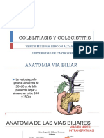 Anatomía y Fisiología Anorrectal | PDF | Recto | Sistema digestivo