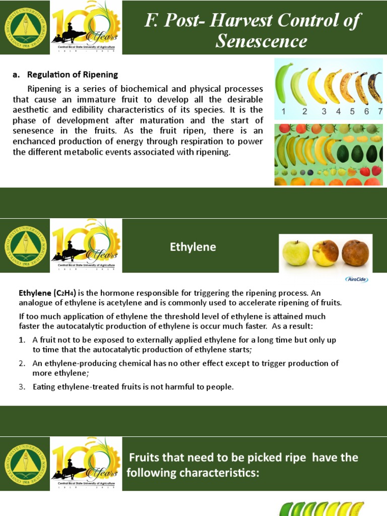 F. Post - Harvest Control of Senesence | PDF | Fruit