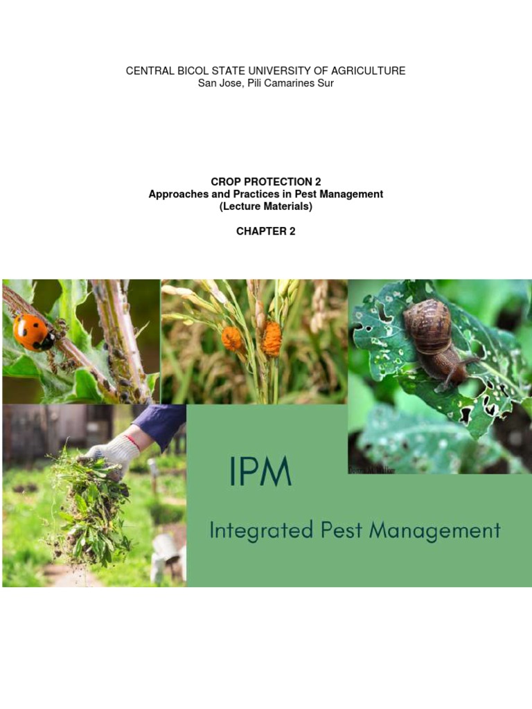 Study Guide 2 CRPR 2 1 | PDF | Ddt | Insecticide