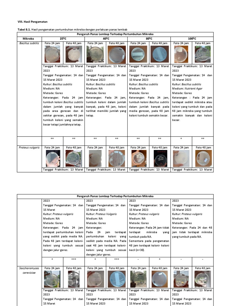 Laporan Praktikum Modul 6 MPP - Shinta | PDF