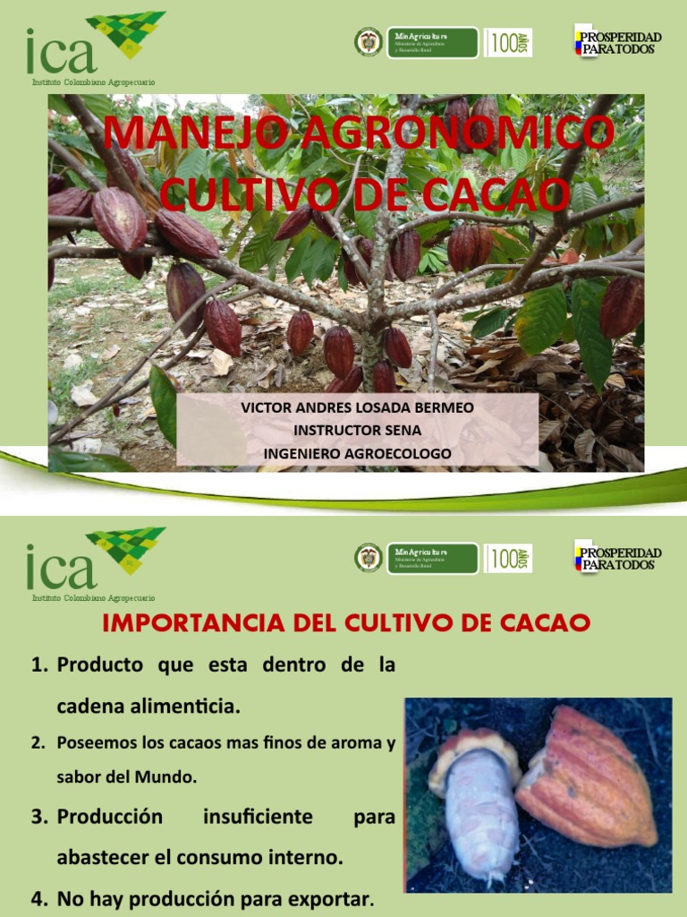 CACAO | PDF