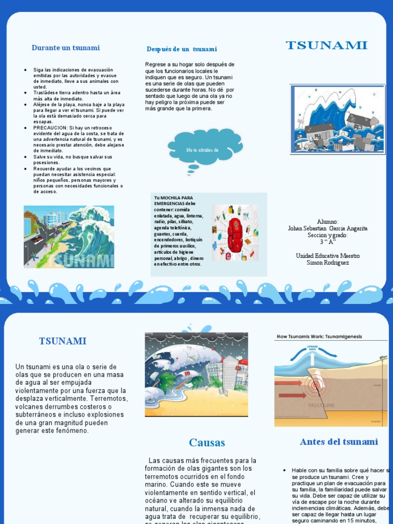 Guía de Seguridad ante Tsunamis | PDF | Tsunami | Desastres