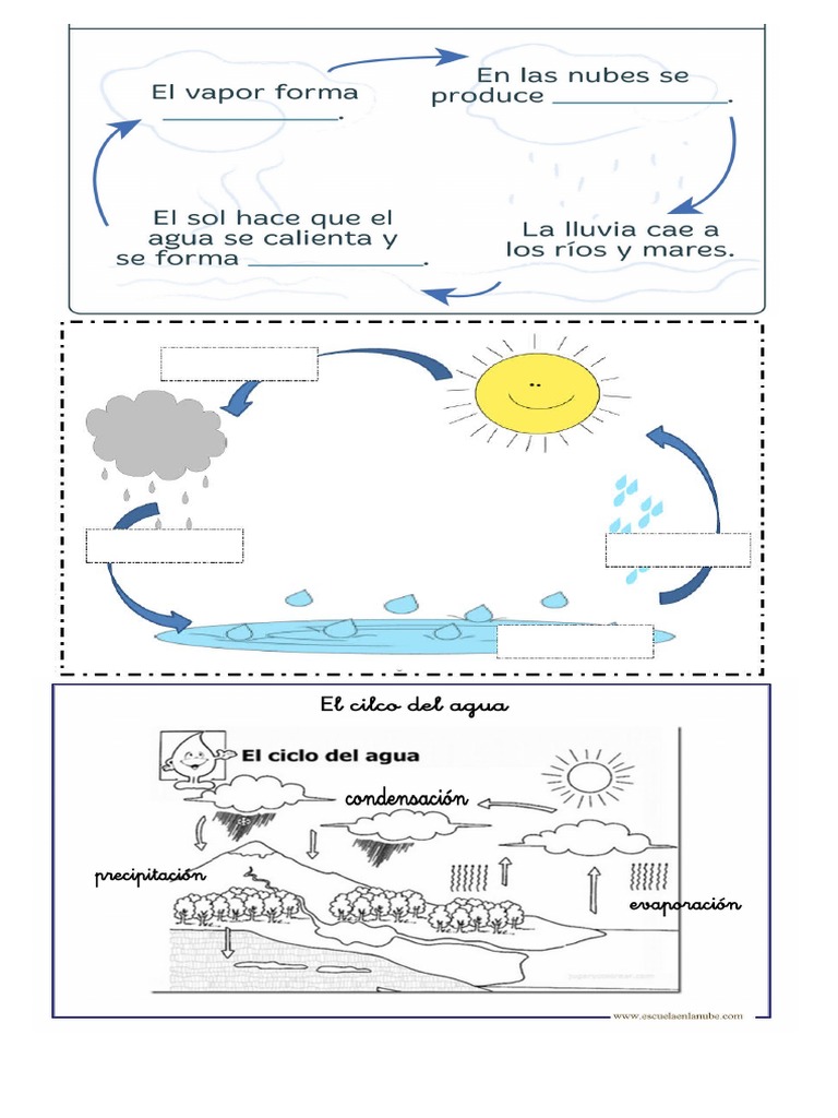 FICHA N°3 Ciclo Del Agua | PDF