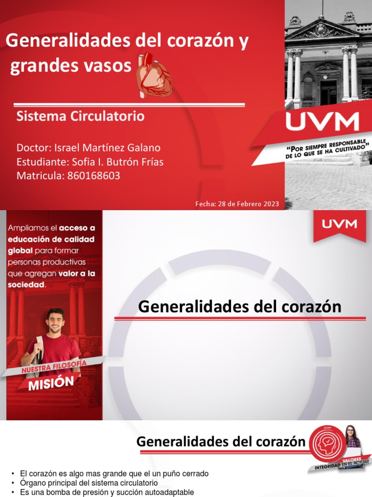 Generalidades Del Corazon y Grandes Vasos | PDF | Aorta | Corazón