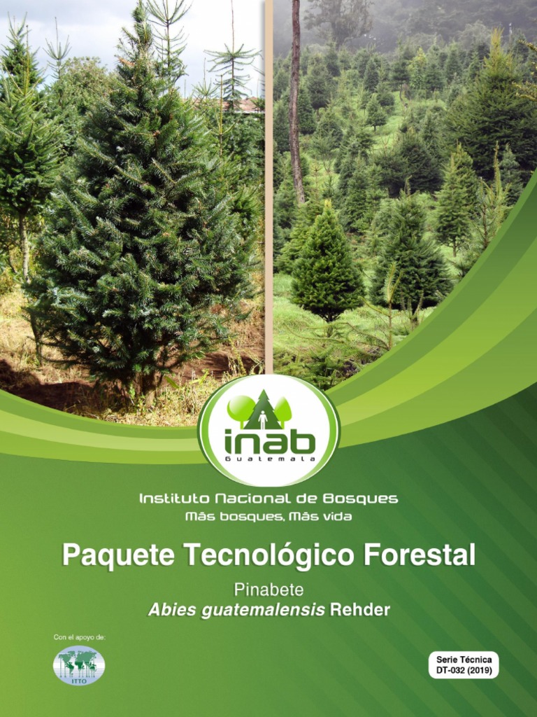 Untitled | PDF | Guatemala | Los bosques