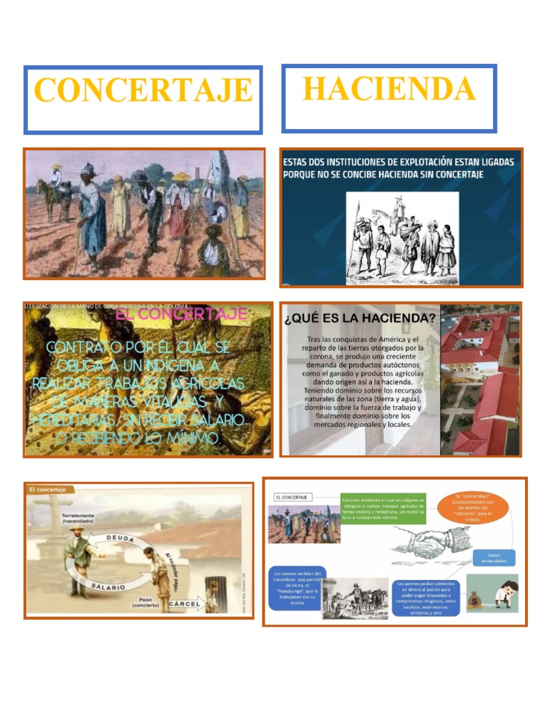 Guía de Concerta en Hacienda | PDF